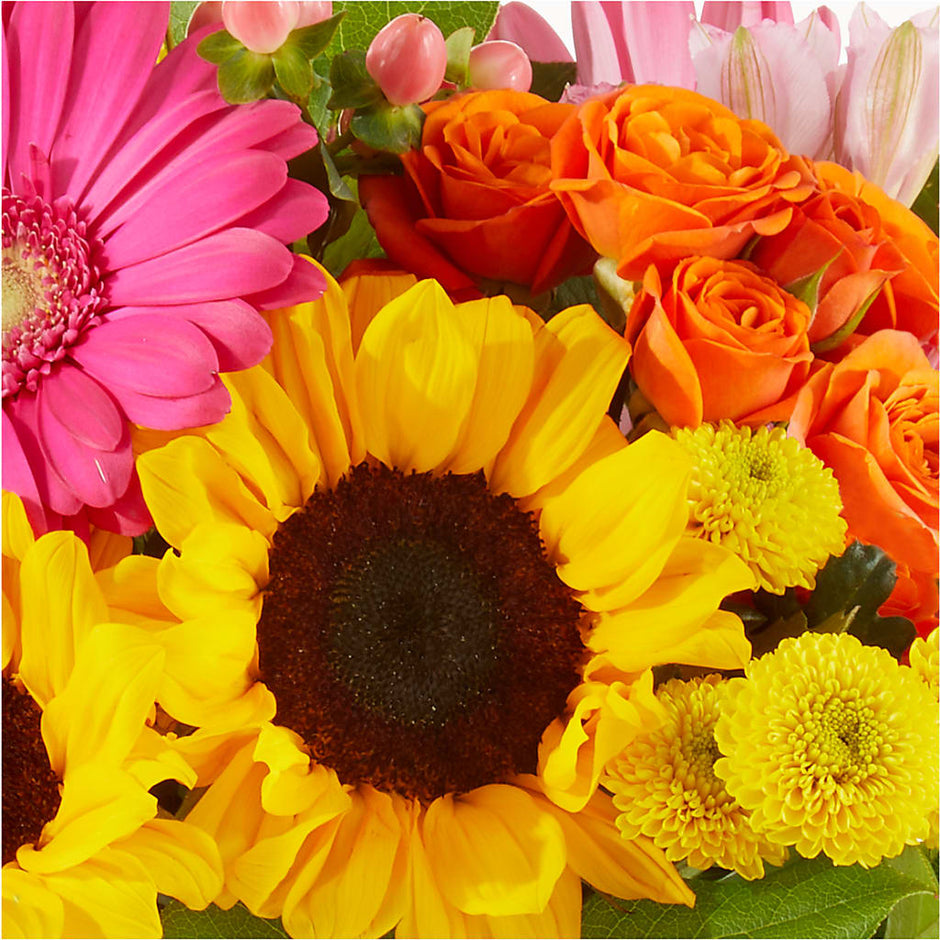 Toms River Florist | Same Day Flower Delivery by Royal Flower Shop